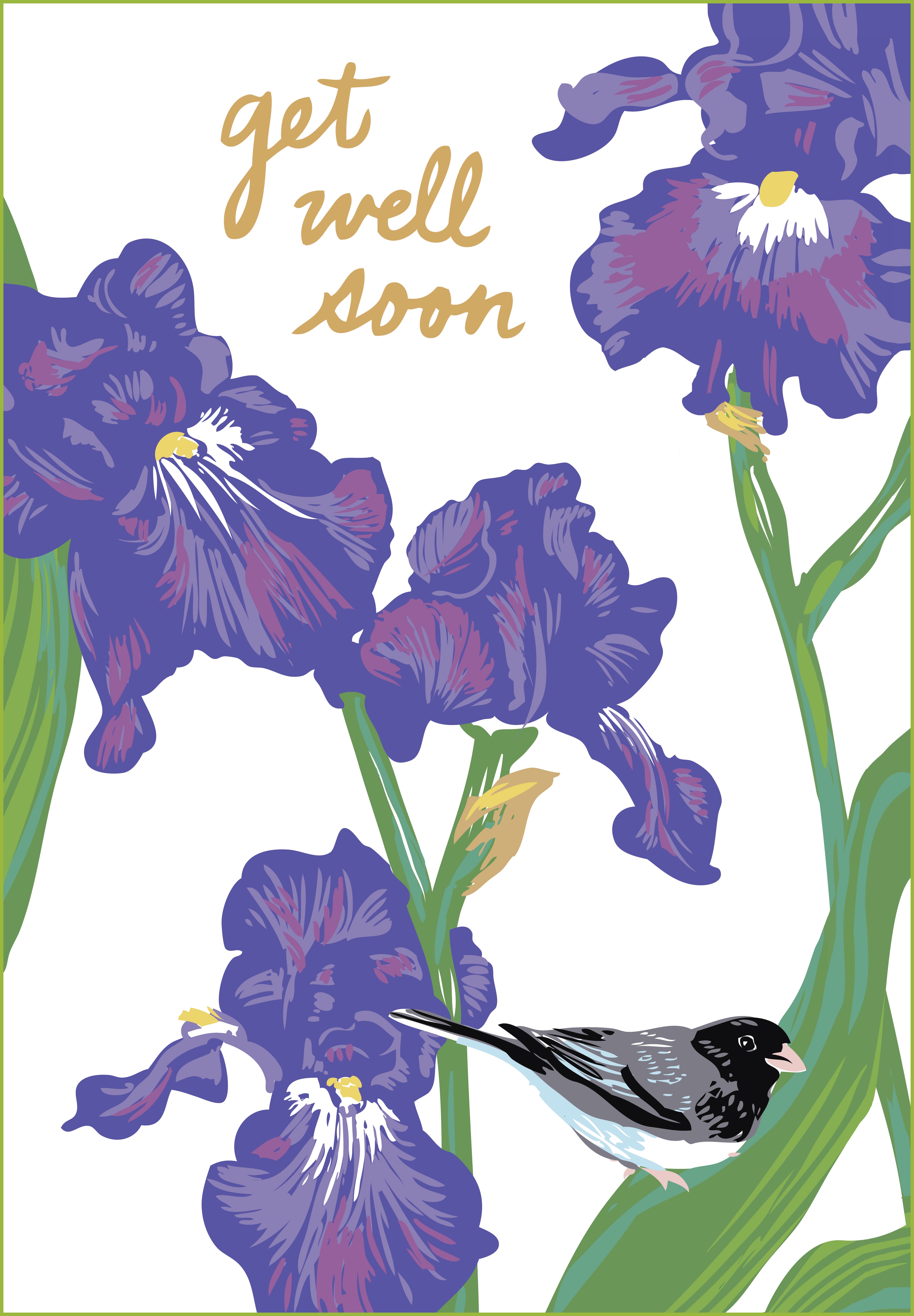Get Well Collection | Nature-Inspired Cards, Postcards & Gifts for ...